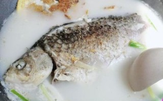 鲫鱼汤用冷水还是热水_鲫鱼汤怎么炖才白