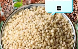 吃高粱米的禁忌有哪些_高粱米什么人不能吃