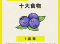 吃什么食物对肝脏好_养肝护肝吃什么最好