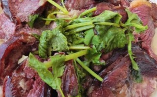 熏马肉怎么做好吃又简单_家常做法