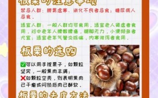 板栗子的功效与作用_生吃熟吃哪个更营养