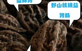 山核桃的功效与作用_山核桃的禁忌有哪些
