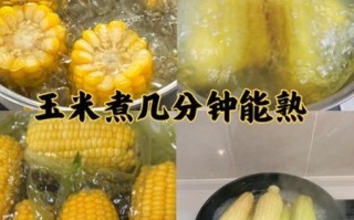 玉米煮几分钟能熟_煮玉米冷水下锅还是热水