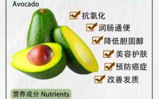 牛油果一天吃多少合适_牛油果的功效与禁忌