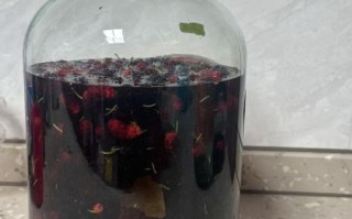 桑葚酒可以存放多久_桑葚酒保质期多久