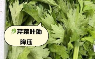 孕妇能吃芹菜叶吗_芹菜叶对胎儿有影响吗