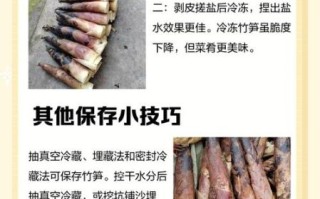野竹笋怎么保存_野竹笋怎么焯水