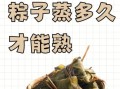 蒸粽子需要多久时间_粽子蒸多久才熟