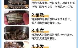 干海参怎么泡发_干海参做法大全带图