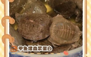 甲鱼头能吃吗_甲鱼头怎么处理