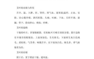 艾叶泡脚有什么好处_艾叶泡脚能天天泡吗