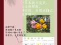 黄油相机怎么用_黄油相机怎么加文字