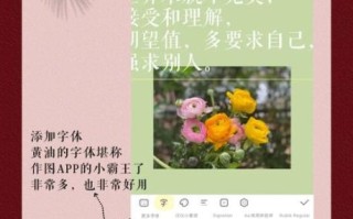 黄油相机怎么用_黄油相机怎么加文字