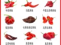 各种辣椒图片大全大图_如何辨别辣椒品种