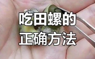 田螺怎么吃_田螺吃哪个部位