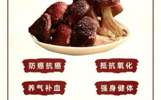 红菇和毒红菇的区别_如何一眼分辨真假红菇 红菇和毒红菇的区别_如何一眼分辨真假红菇