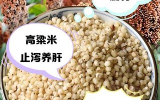 高粱的功效与作用禁忌_高粱哪些人不能吃