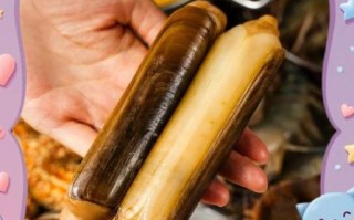 竹蛏怎么清洗_竹蛏怎么做好吃