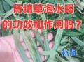男人补肾喝什么泡水_男人补肾用什么泡水喝好