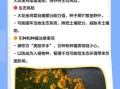大花金鸡菊怎么养_大花金鸡菊的花期多长