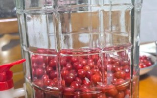自酿樱桃酒的做法步骤图_樱桃酒发酵多久能喝