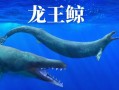 龙王鲸是什么动物_龙王鲸灭绝了吗