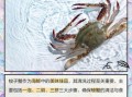 梭子蟹怎么清洗图解_梭子蟹清洗步骤图解