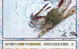 梭子蟹怎么清洗图解_梭子蟹清洗步骤图解