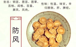 防风的功效与作用及禁忌_哪些人不能吃防风