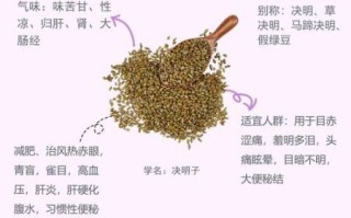决明子图片功效与作用_决明子怎么泡水喝