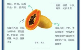 吃木瓜有什么好处_木瓜的功效与作用