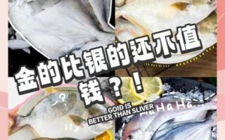 银鲳鱼和金鲳鱼的区别_哪个更好吃
