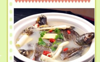 甲鱼汤怎么炖好喝_甲鱼煲汤做法大全