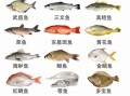 鱼的营养价值排名_哪种鱼最健康