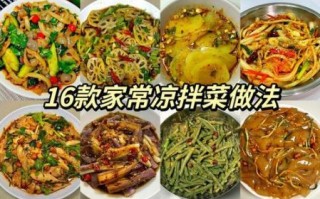 经典凉菜100款做法_家常凉菜怎么做