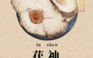 茯神和茯苓的区别_茯神与茯苓功效差异