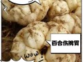 鲜百合哪些人不能吃_鲜百合禁忌人群