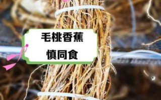 五指毛桃与什么相克_五指毛桃禁忌搭配