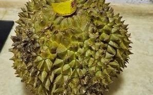榴莲开一半连壳能放几天_榴莲带壳保存方法