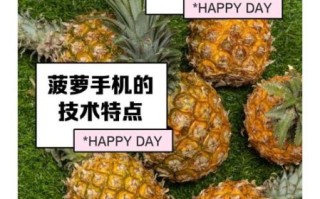 菠萝手机多少钱_菠萝手机价格是多少