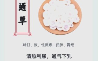 通草怎么吃_通草的正确食用方法