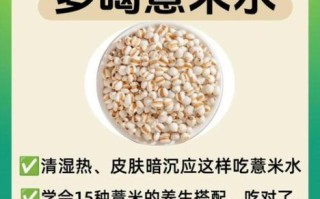 薏米水可以天天喝吗_薏米水功效与禁忌