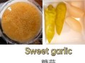 粥英语单词怎么读_粥英语单词怎么拼写