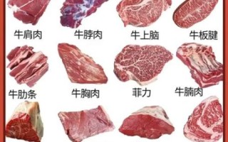 肥牛是牛的哪个部位_肥牛片用牛哪块肉最好