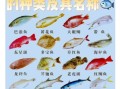 常见海鱼有哪些_海鱼名称及图片大全