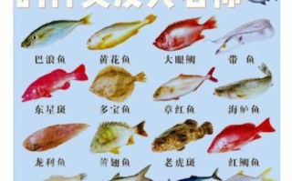 常见海鱼有哪些_海鱼名称及图片大全