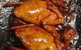 酱油乳鸽怎么做好吃_酱油乳鸽做法大全