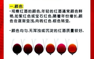 什么样的红酒才是好酒_如何判断红酒品质