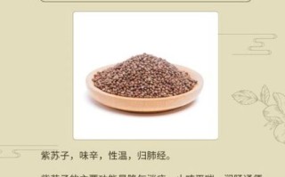 苏子籽治肝病真的有效吗_苏子籽怎么吃护肝