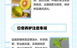 猕猴桃适合什么气候_猕猴桃种植土壤要求